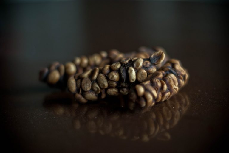 The Secret behind Monkey Coffee Beans